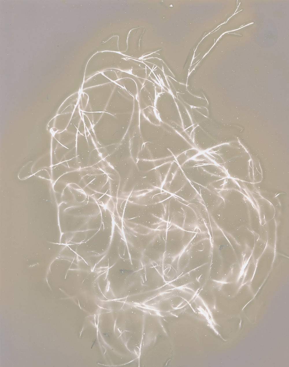 Lumen Prints – Zola Kell