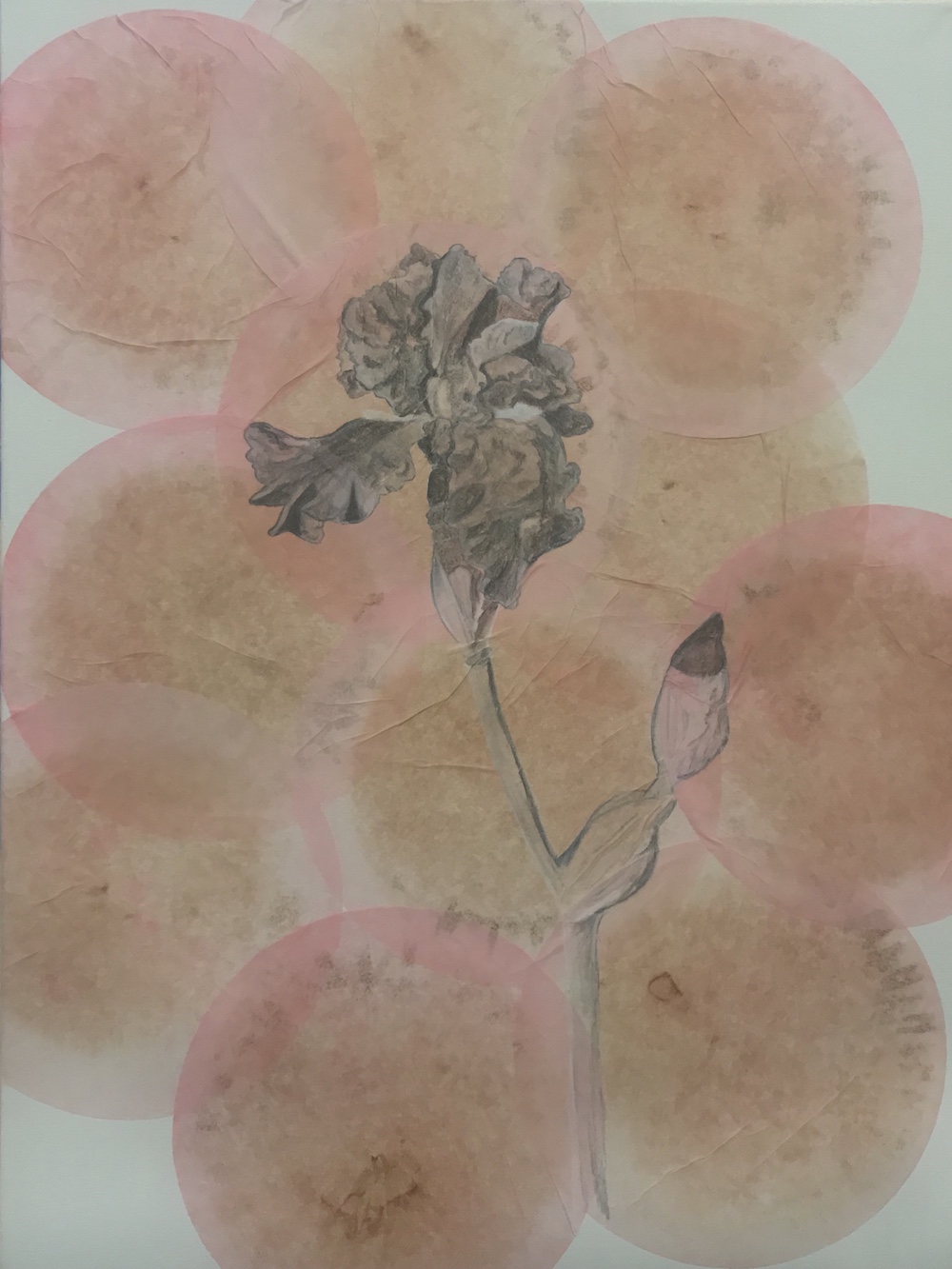 2-dimensional work – Zola Kell